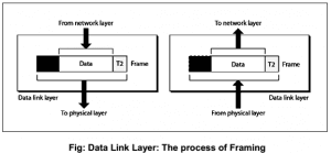 Data Communication and Networking - OSI Model Study Notes - EXAMRADAR