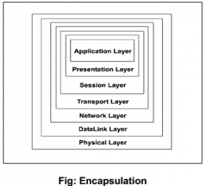 Data Communication and Networking - OSI Model Study Notes - EXAMRADAR