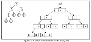 Data Structure - Binary Trees - EXAMRADAR