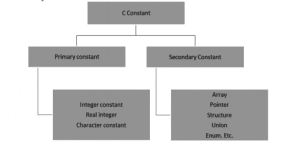 Programming in C - Elements - EXAMRADAR