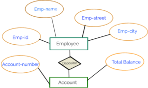 simple ER Diagram » EXAMRADAR
